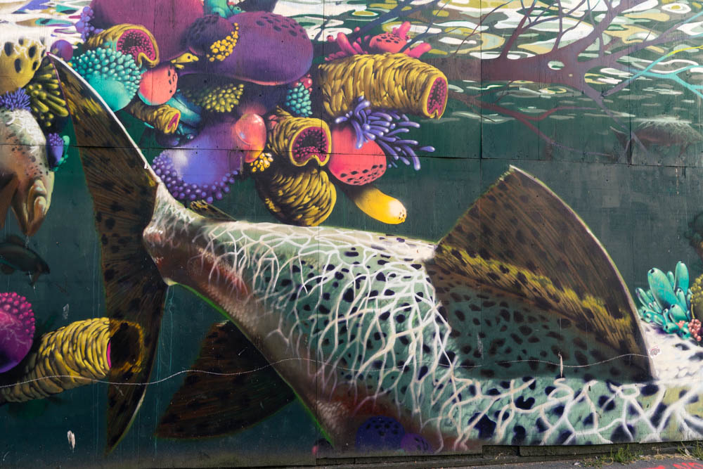 Street Art of Seattle – Stories from the World
